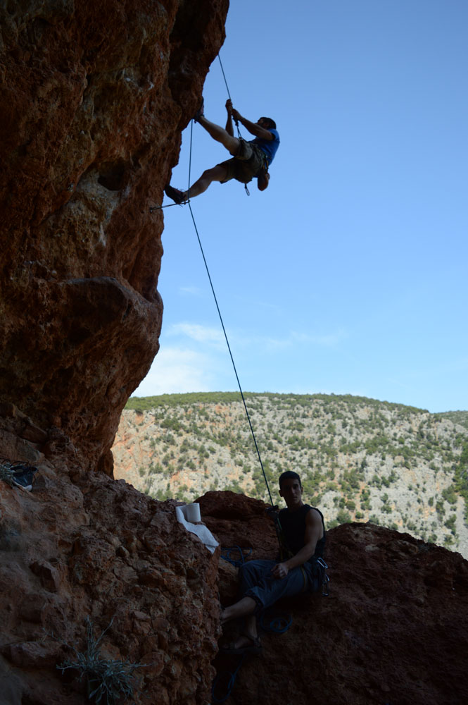 Meet Insane51 - INSANE 51