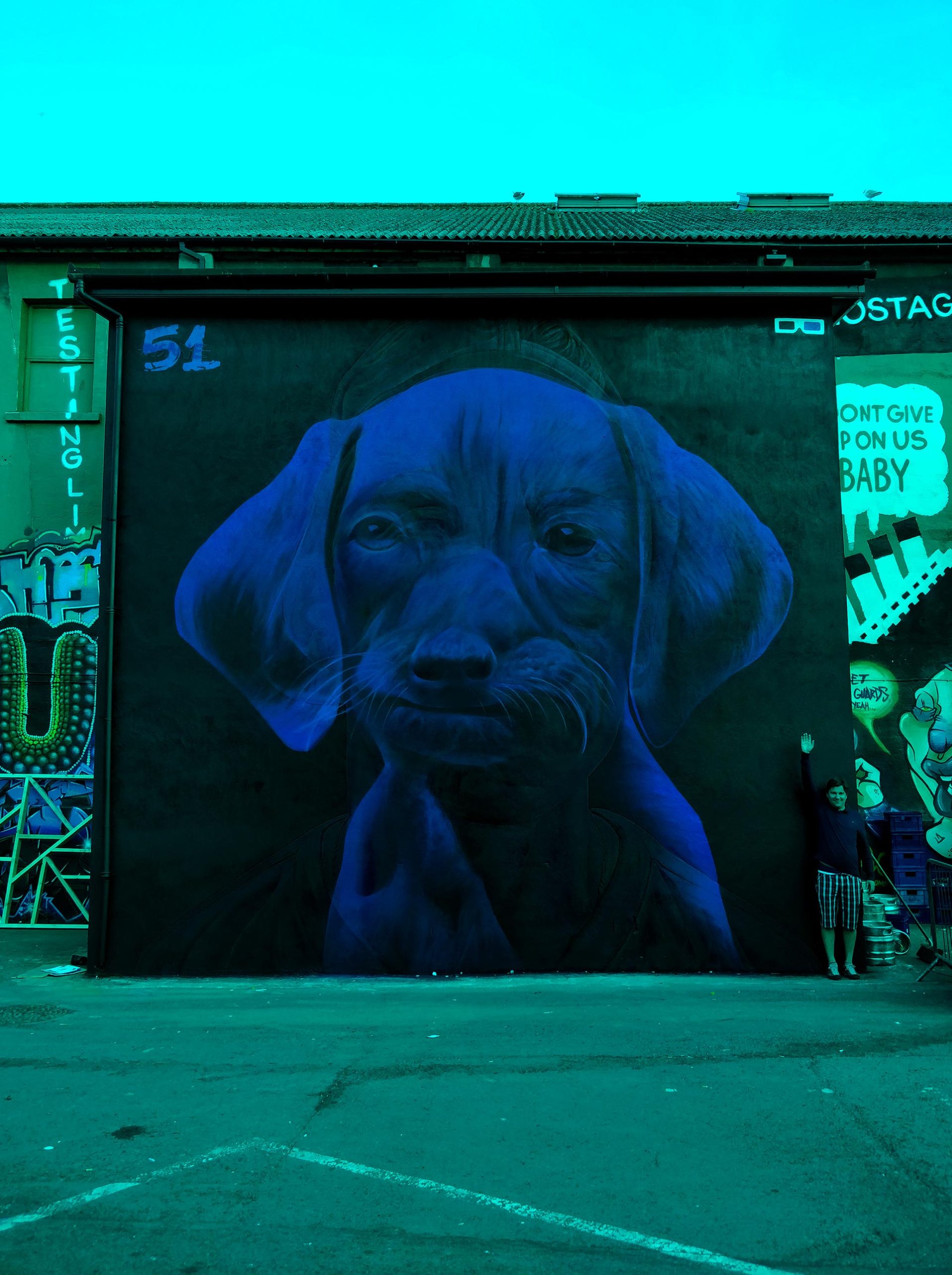 Sunny dog - INSANE 51